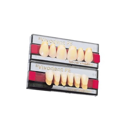 Buy Ivoclar SR Vivodent PE Shade220/1D For Anterior teeth (set of 6 ...